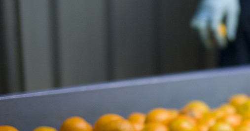 RiskShield for Transaction Sanction Screening - INFORM